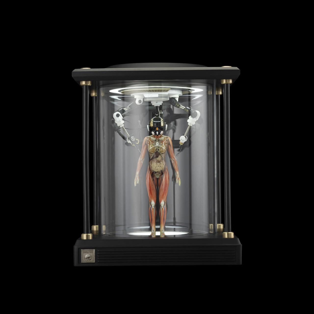 Artificial Body – drivepro
